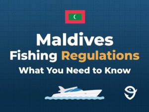 Fishing in MALDIVES: The Complete Guide