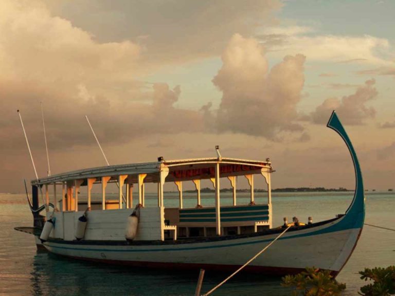 Fishing in MALDIVES: The Complete Guide