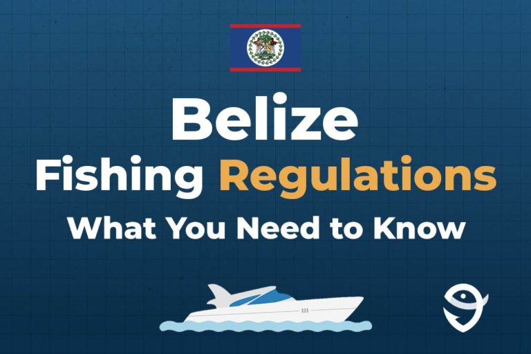 Fishing in BELIZE: The Complete Guide