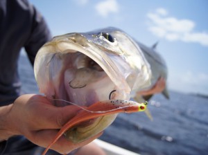 How to Fish for Snook: The Complete Guide for 2024