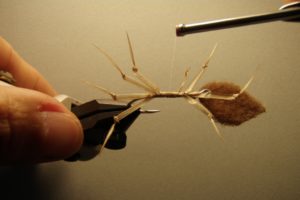 Permit, Pompano, and other flats fish absolutely love little crabs ...