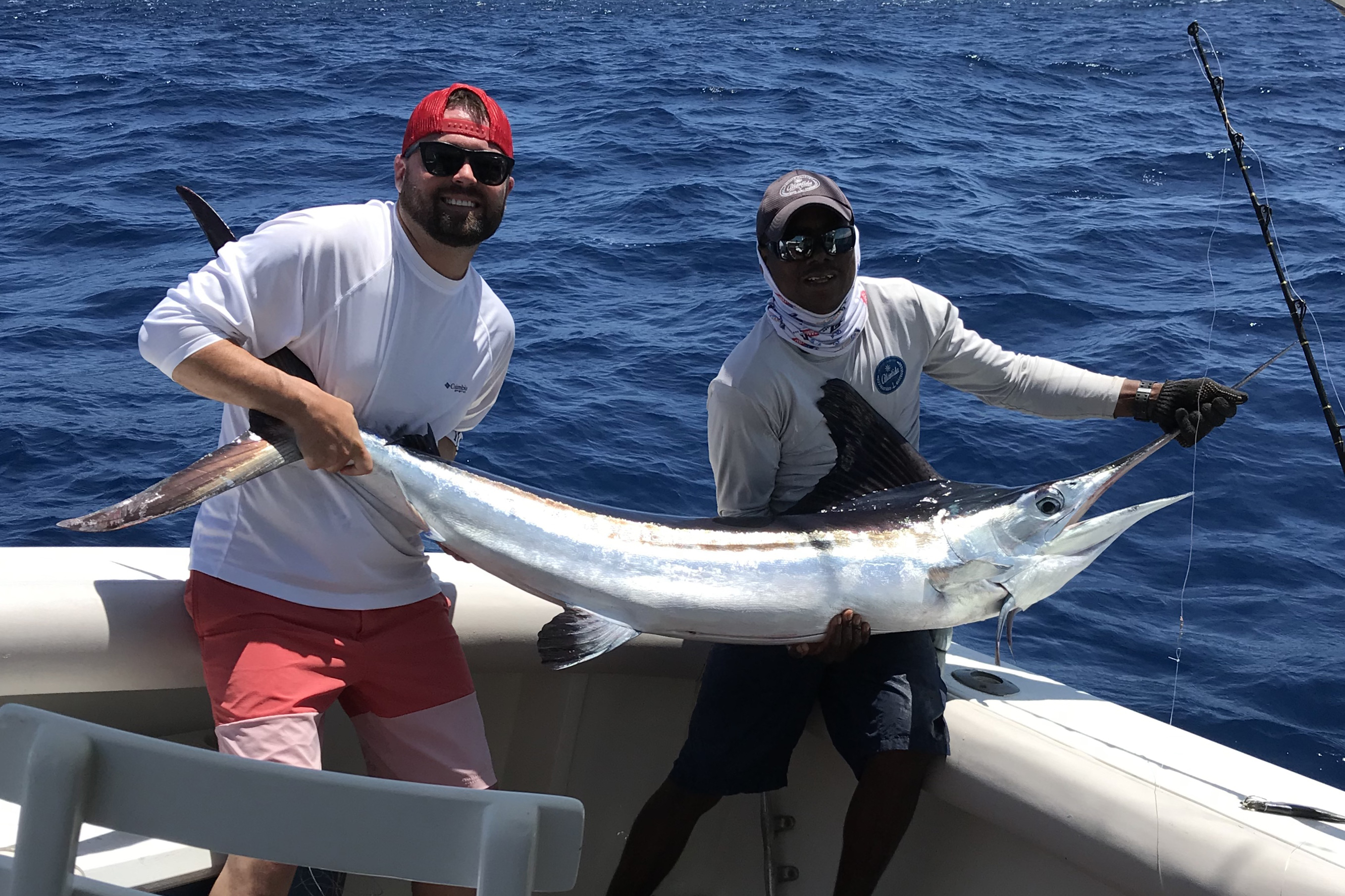 How to Fish for Marlin: The Complete Guide for 2025