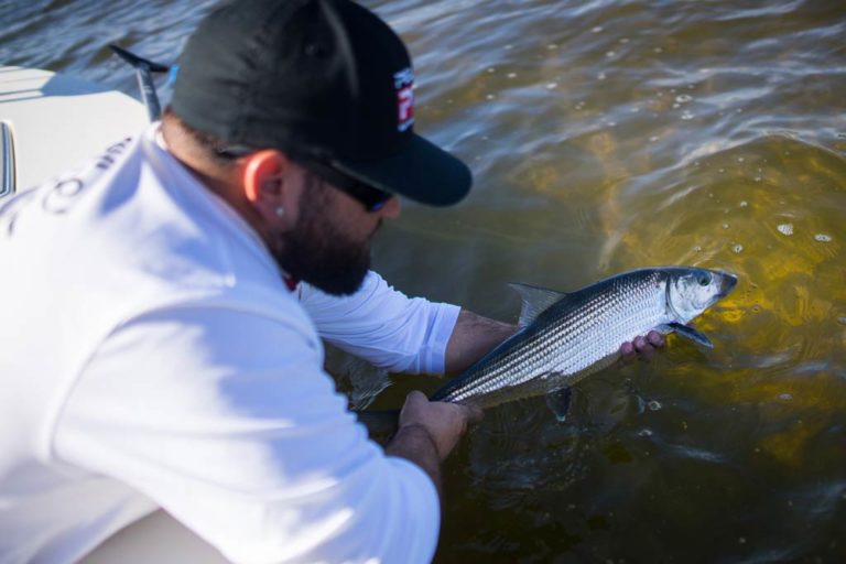 Best Florida Keys Bridge Fishing Spots: All You Need to Know