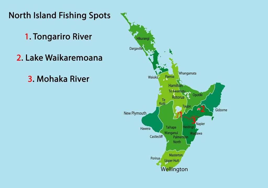 How to Go Fly Fishing in New Zealand: The Complete Guide for 2026