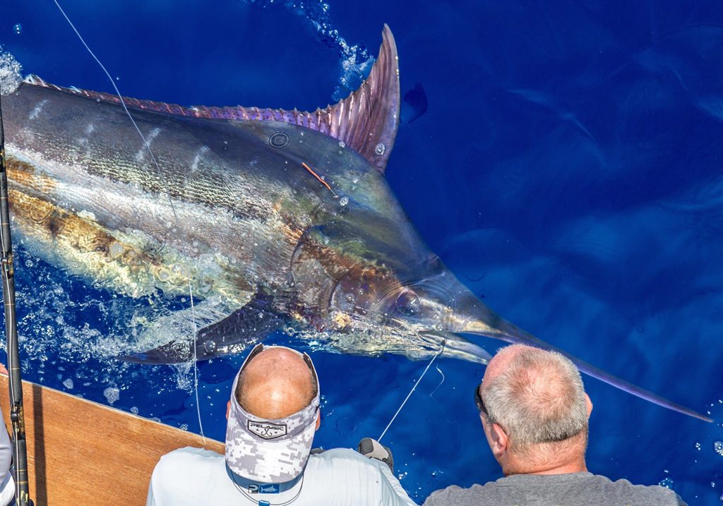 The 12 Ultimate Bucket List Fishing Spots