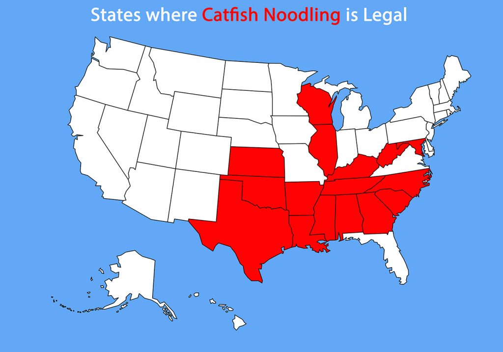 How to Go Catfish Noodling: The Complete Guide for 2025