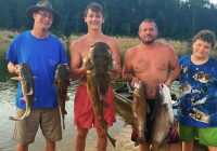 How to Go Catfish Noodling: The Complete Guide for 2025