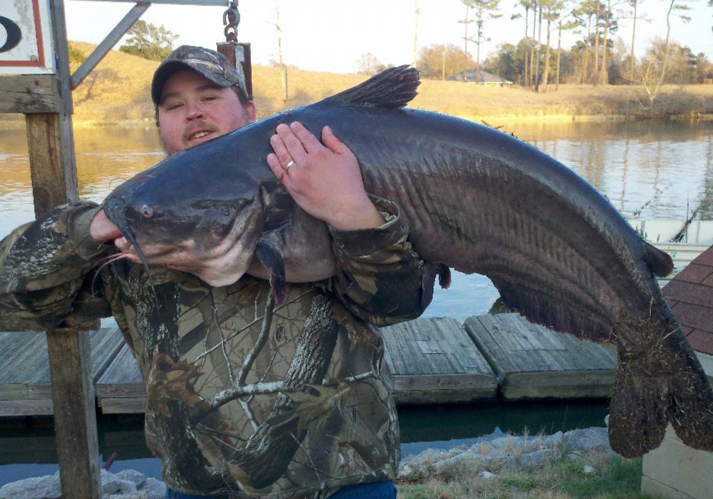 How to Go Catfish Noodling: The Complete Guide