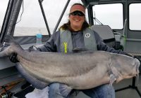 How to Go Catfish Noodling: The Complete Guide for 2025
