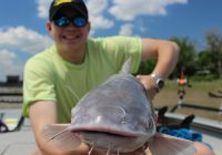 How to Go Catfish Noodling: The Complete Guide for 2025