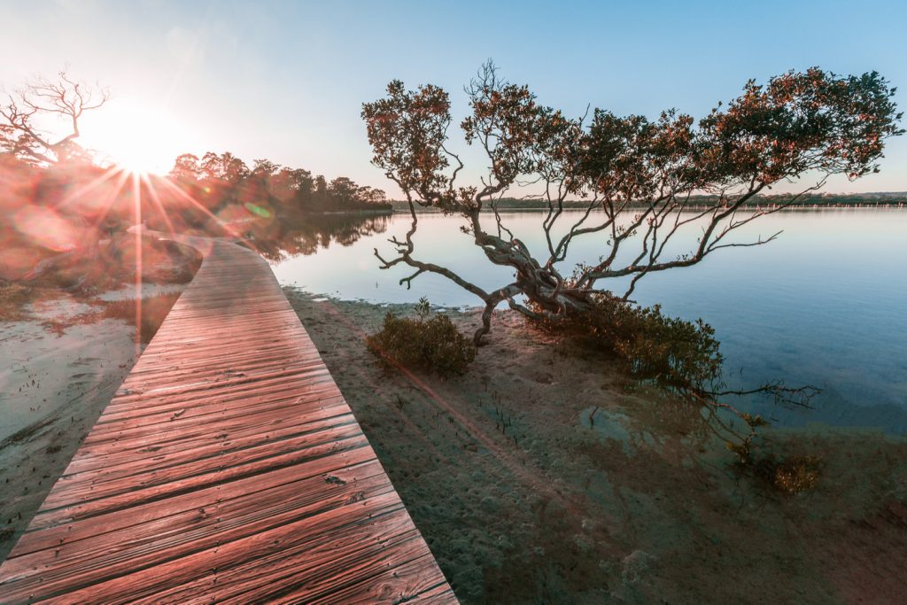 The stunning Merimbula Broadwalk