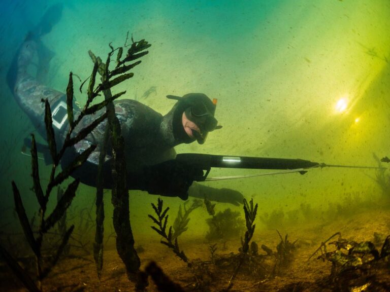 How to Go Spearfishing: The Beginner’s Guide
