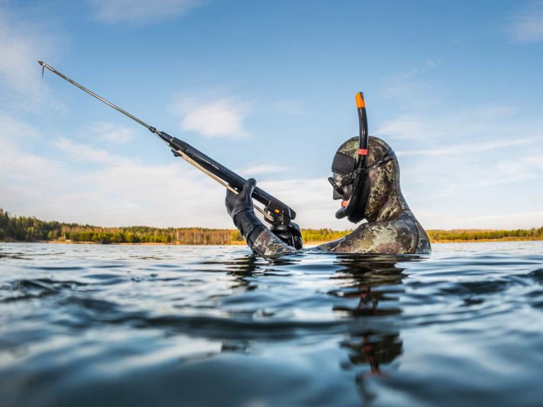 How to Go Spearfishing: The Beginner’s Guide