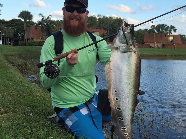 Invasive Fish in Florida: All You Need to Know