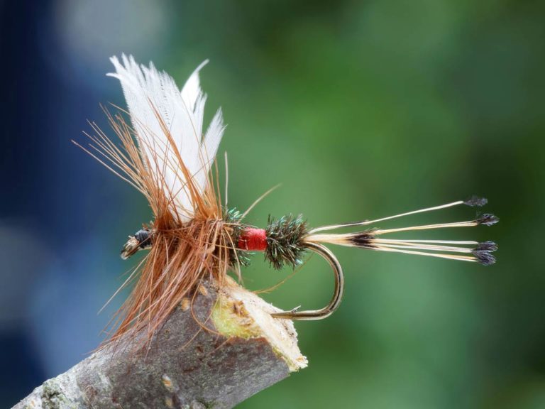 Most Common Types of Fishing Lures – All You Need to Know