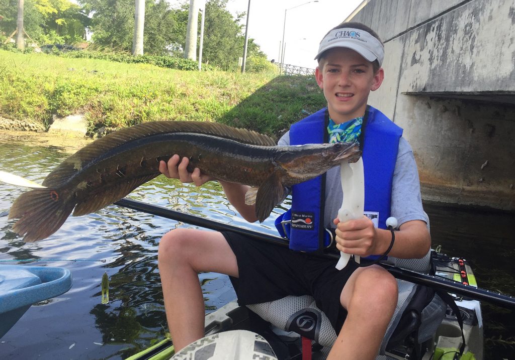 Invasive Fish in Florida: All You Need to Know