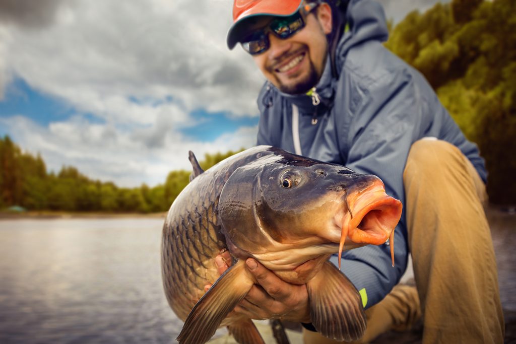 How to Fish for Carp in France: The Complete Guide for 2024