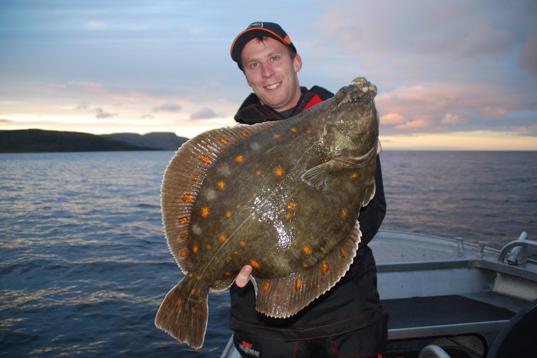 Types of Flatfish: the Complete Guide for 2025