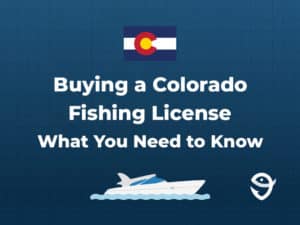 Colorado Fishing License: The Complete Guide for 2026