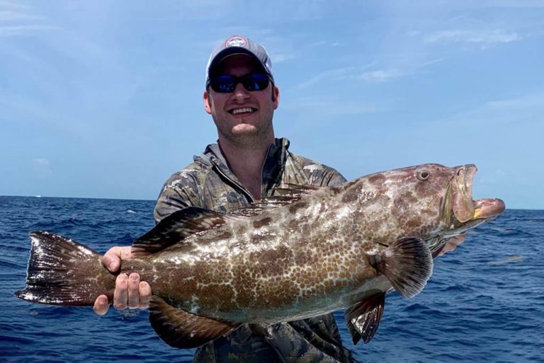 Types of Grouper in Florida: A Short Guide for 2026