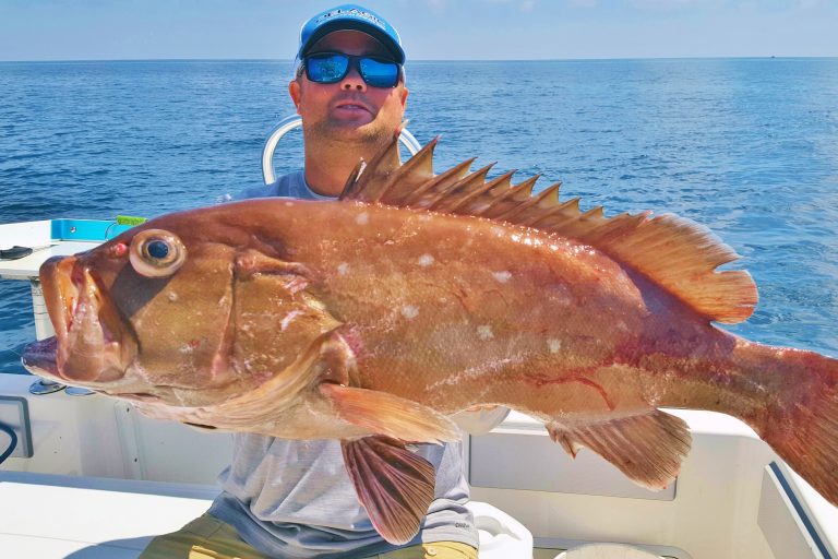 Types of Grouper in Florida: A Short Guide