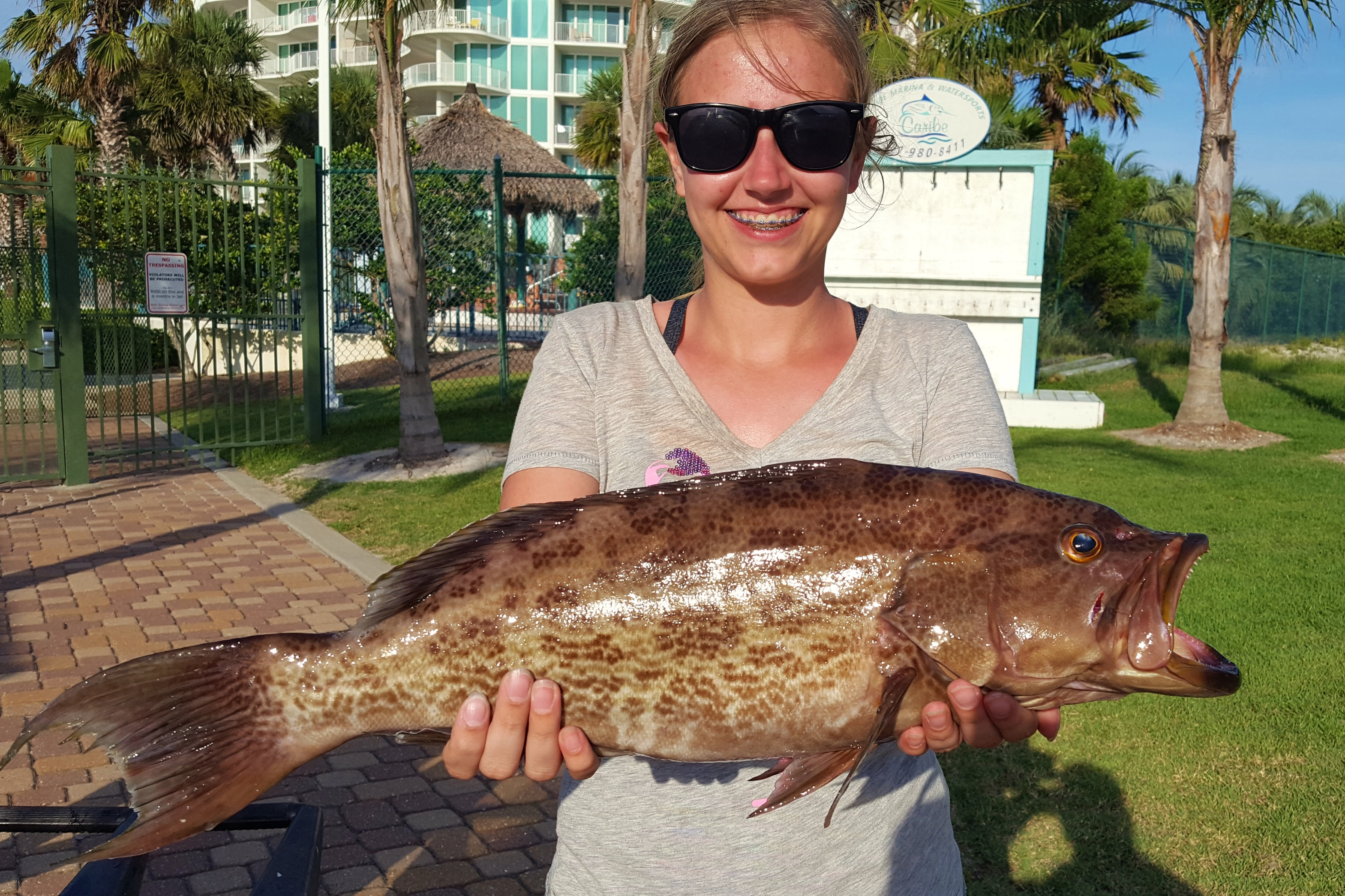 Types of Grouper in Florida: A Short Guide for 2025