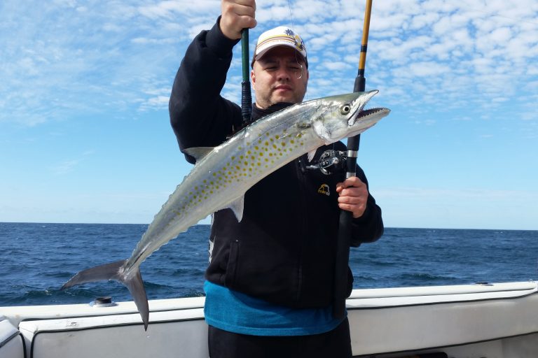 Types of Mackerel in North America