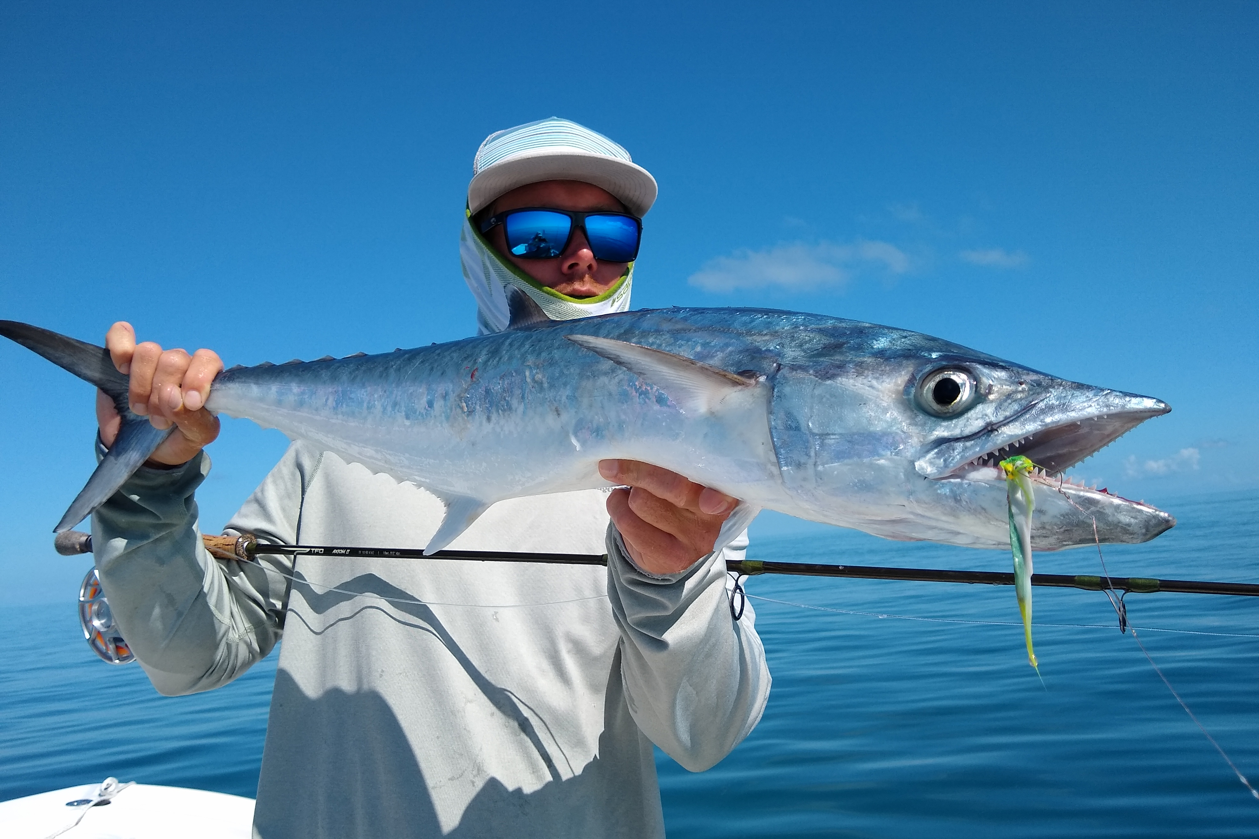 Types of Mackerel in North America for 2025