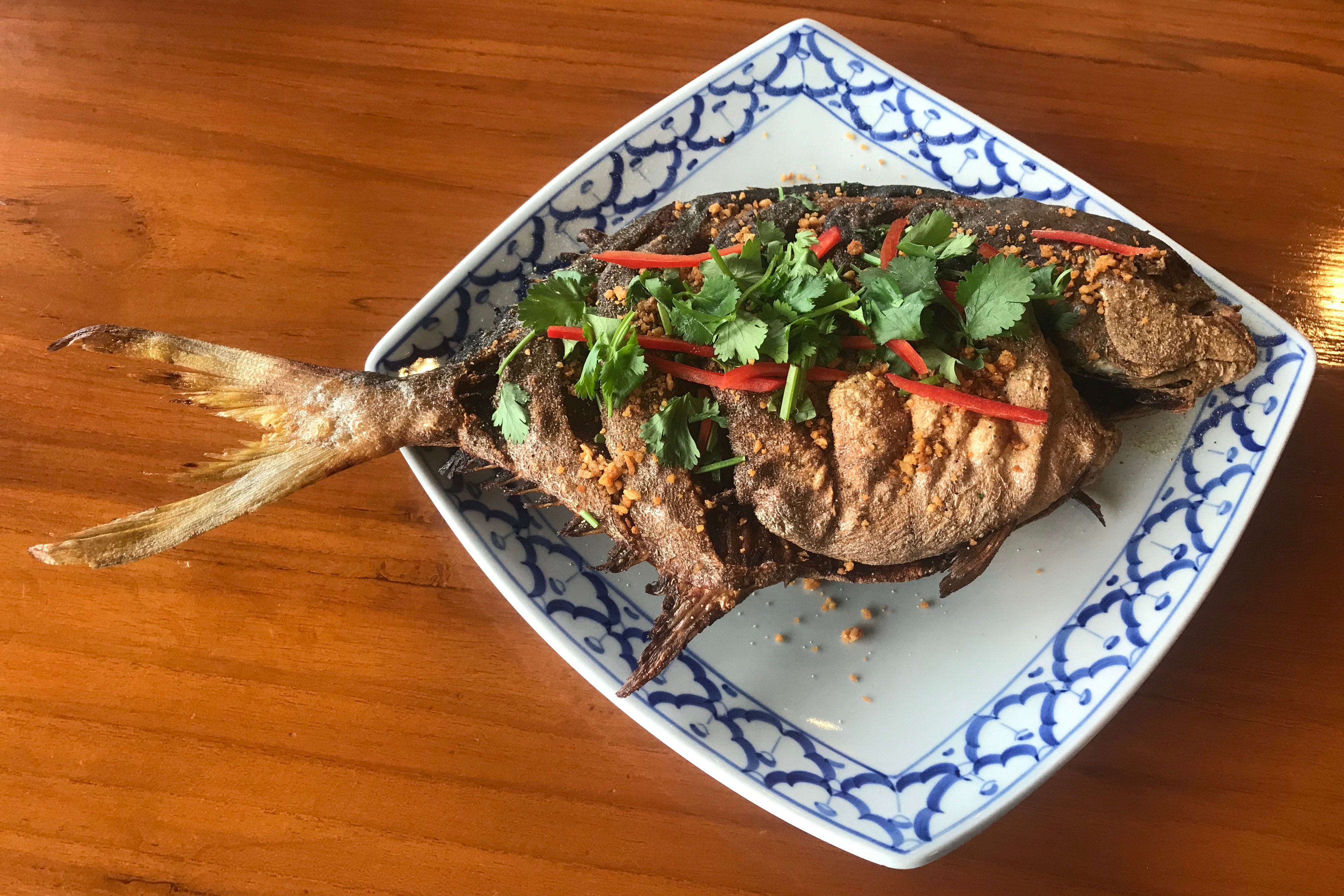 Permit vs. Pompano: All You Need to Know for 2025