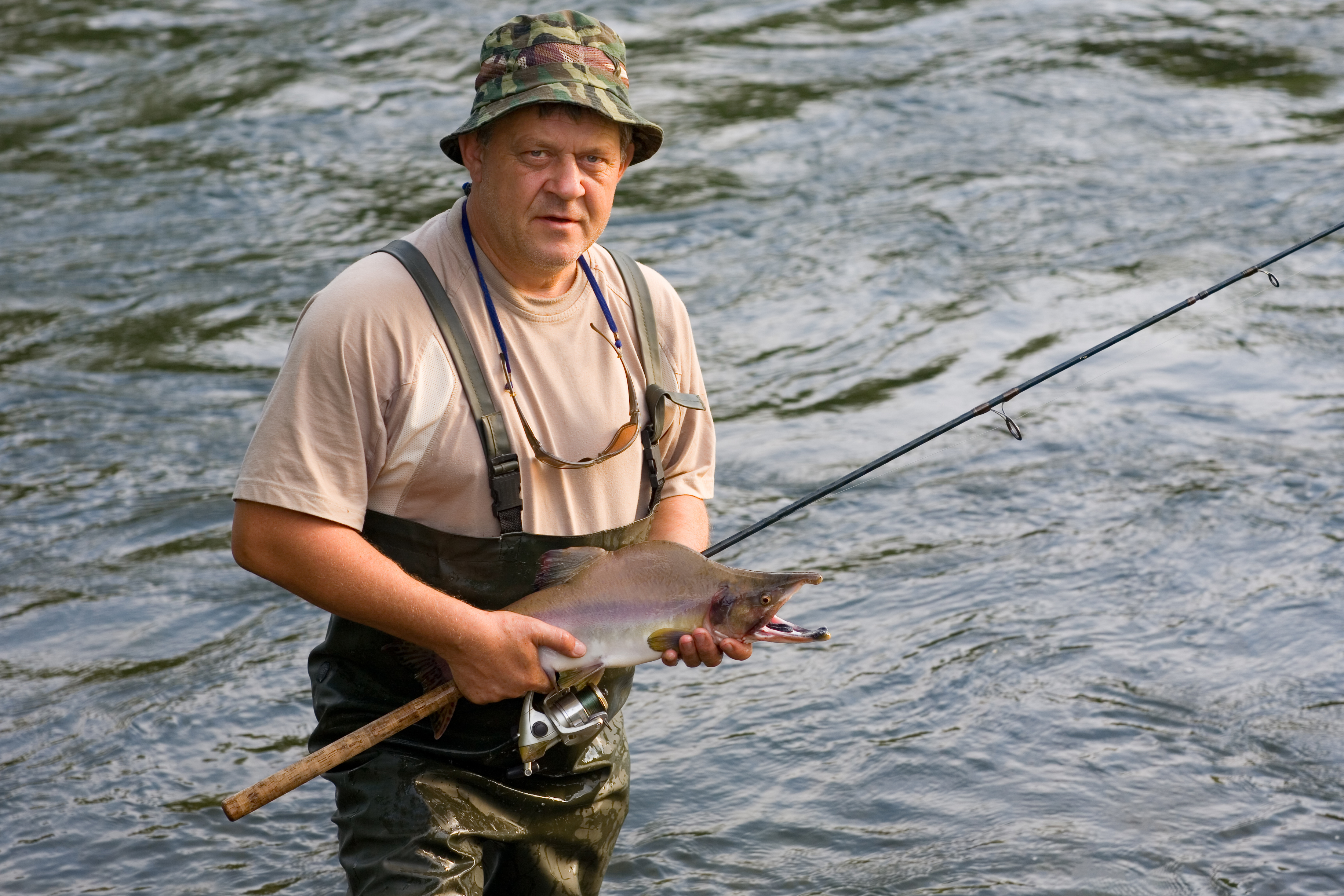 Types of Salmon: The Complete Guide for 2026