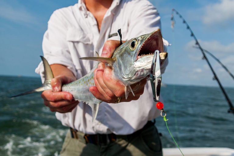Top 10 Florida Fishing Spots: An Angler’s Guide for 2026 [VIDEO]