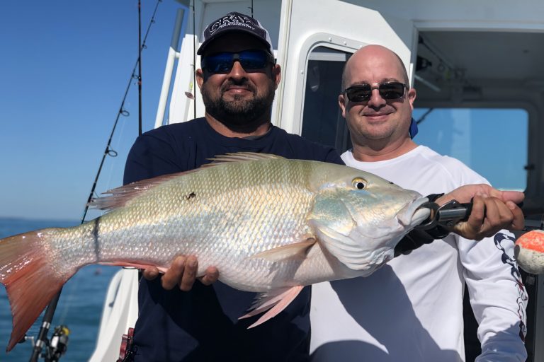 Types of Snapper in Florida: A Quick Guide for 2025