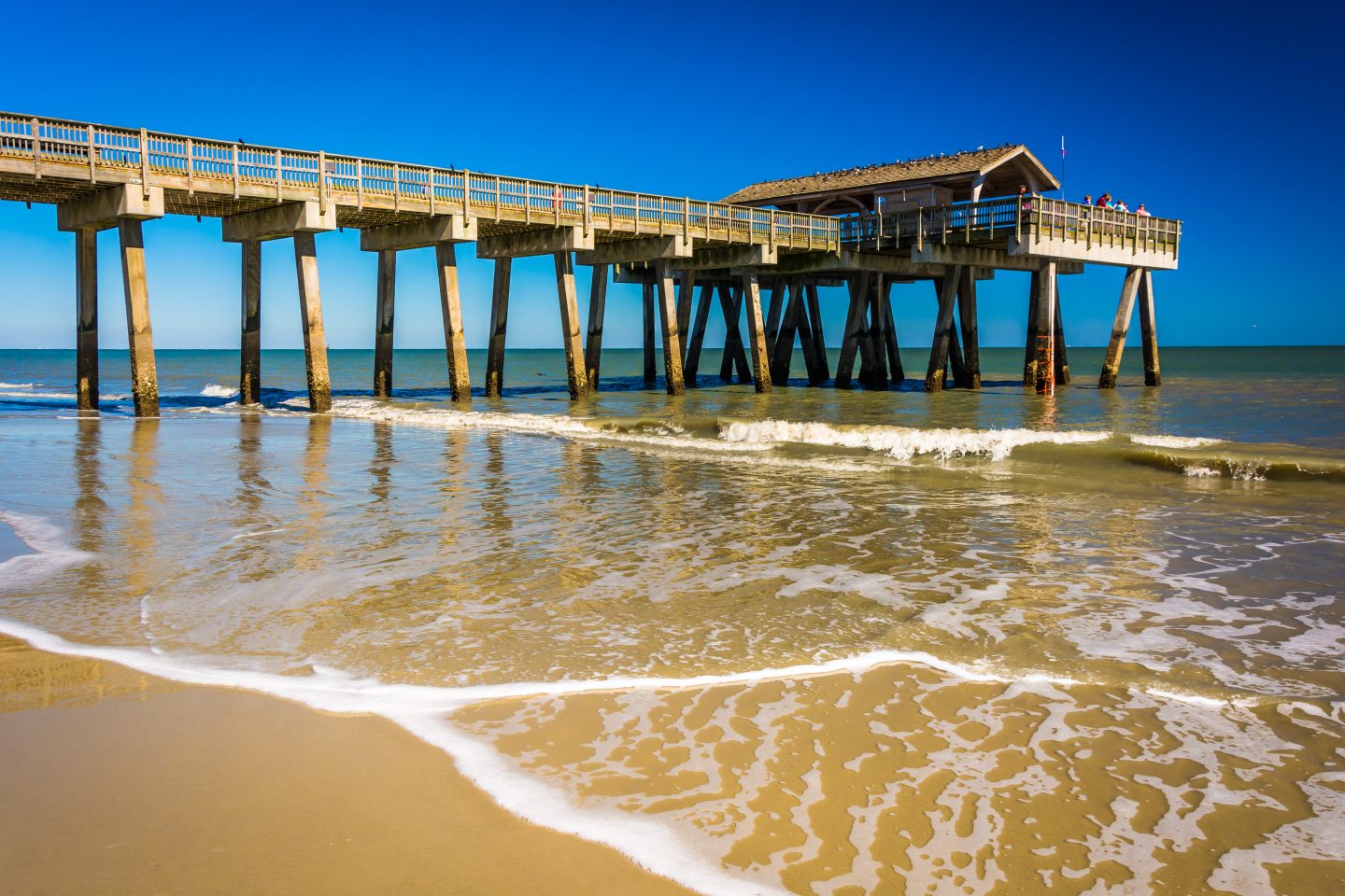 Georgia Fishing License: The Complete Guide for 2026 [VIDEO]