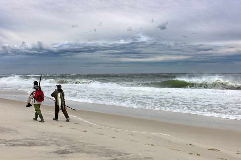 How to Fish for Striped Bass in Long Island: The Complete Guide for 2026