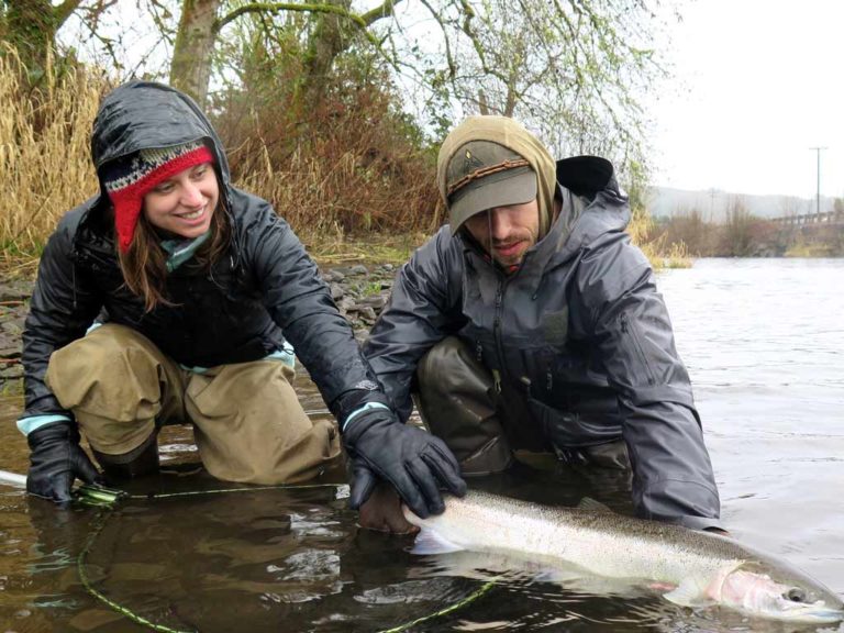 Washington State Fish: An Introduction to Steelhead Trout