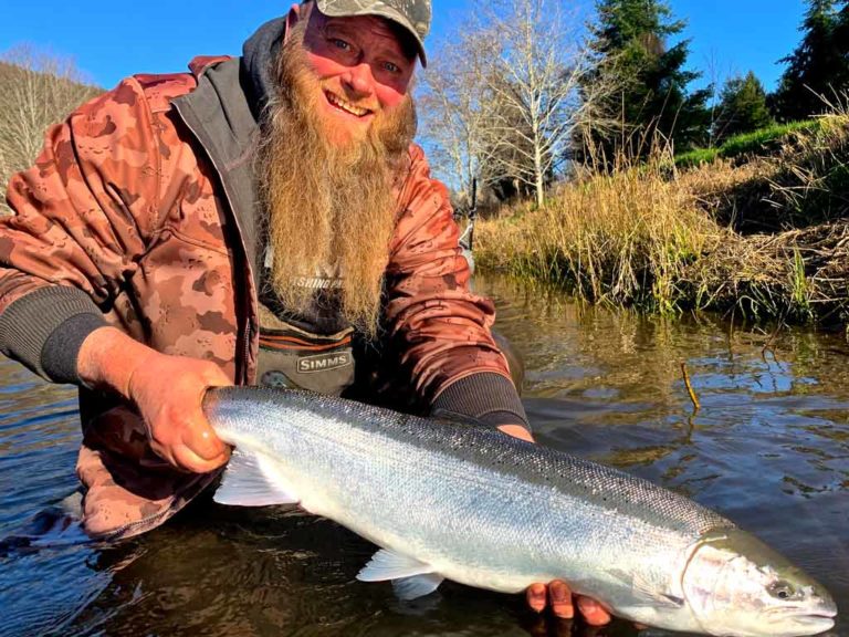 Washington State Fish: An Introduction to Steelhead Trout