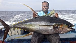 That’s one bucket list Yellowfin.