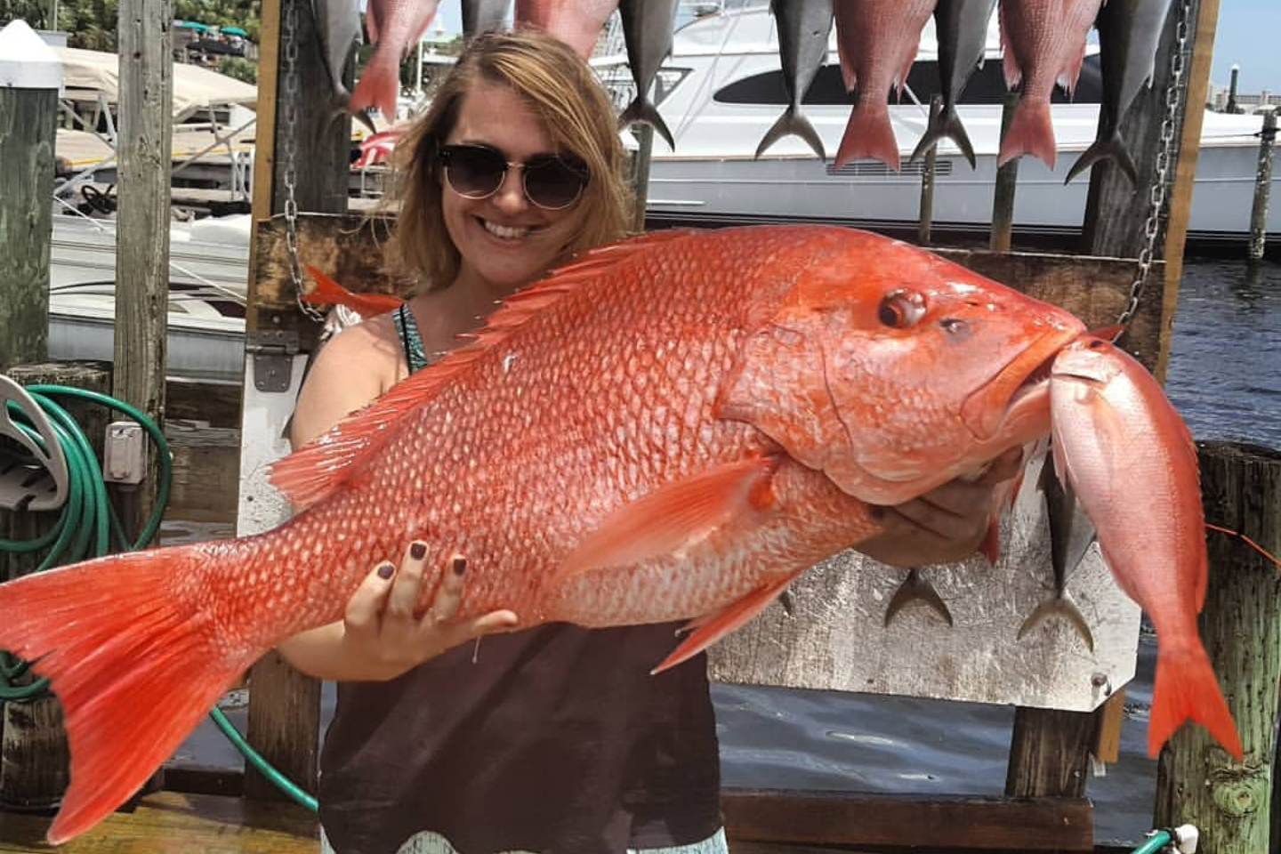 Vermilion Snapper vs. Red Snapper for 2025