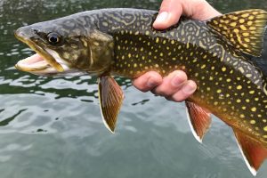 Fishing in PENNSYLVANIA: The Complete Guide