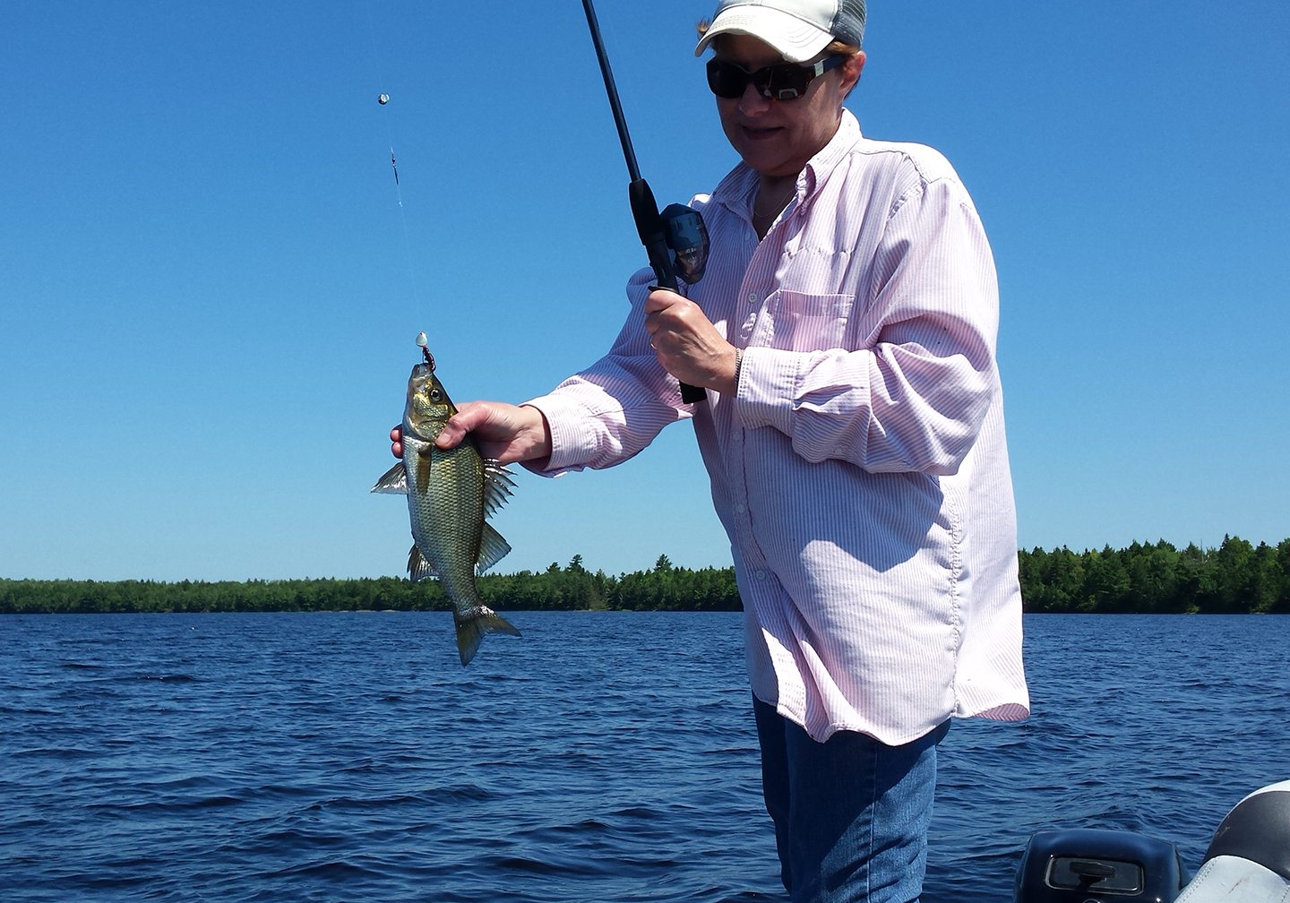 White Perch vs. Yellow Perch: A Quick Guide