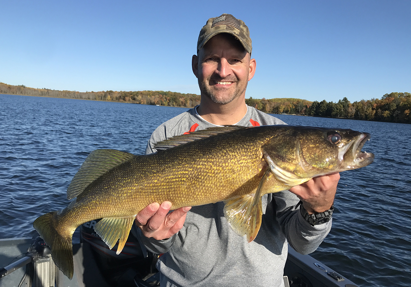 Minnesota State Fish: An Introduction to Walleye for 2025