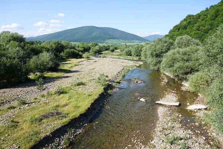 Fishing in JAPAN: The Complete Guide