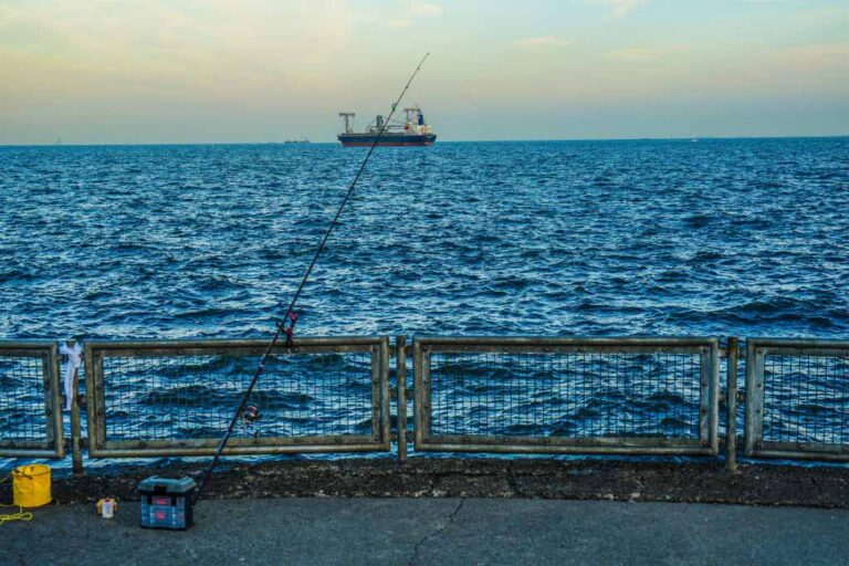 Fishing in JAPAN: The Complete Guide