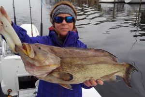 Snapper vs. Grouper: A Beginner’s Guide