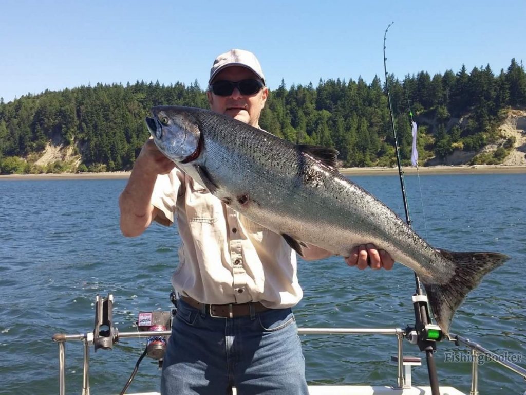 Did you ever go Chinook fishing in Alaska? What do you think is the ...