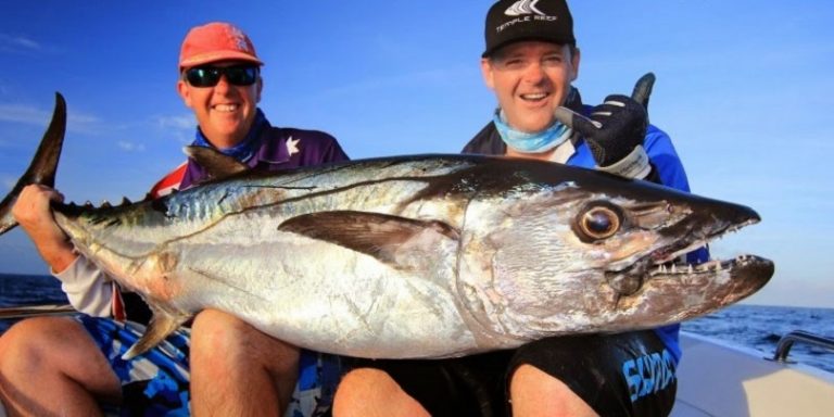 How to Fish for Tuna: The Complete Guide