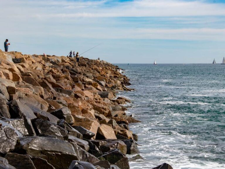 Fishing in DANA POINT: The Complete Guide [VIDEO]