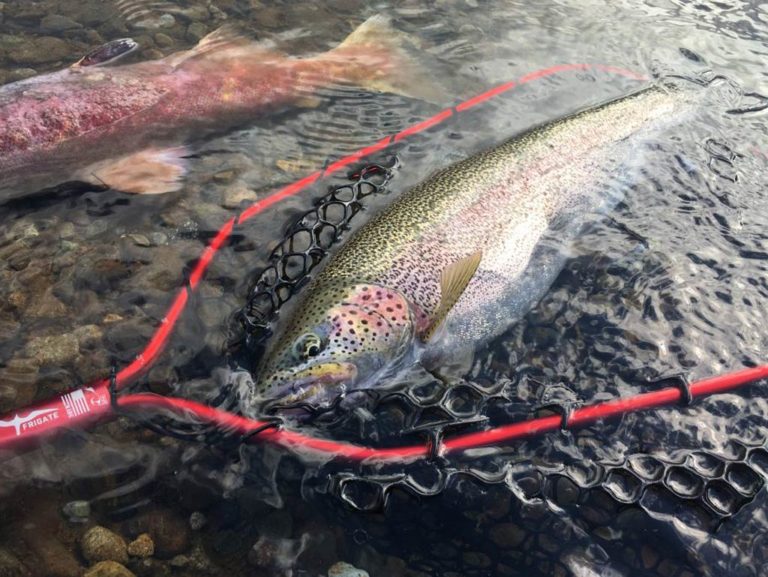 Fishing in HOMER: The Complete Guide [VIDEO]