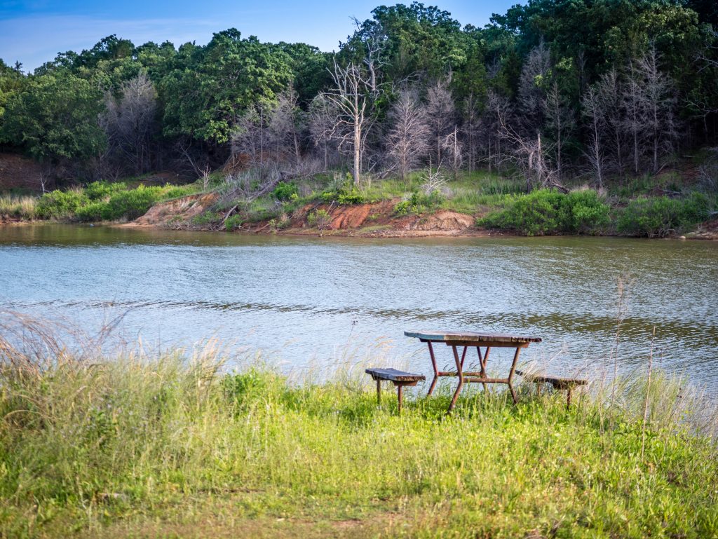 Fishing in LAKE TEXOMA: The Complete Guide