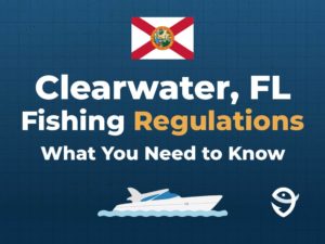 Fishing in CLEARWATER: The Complete Guide